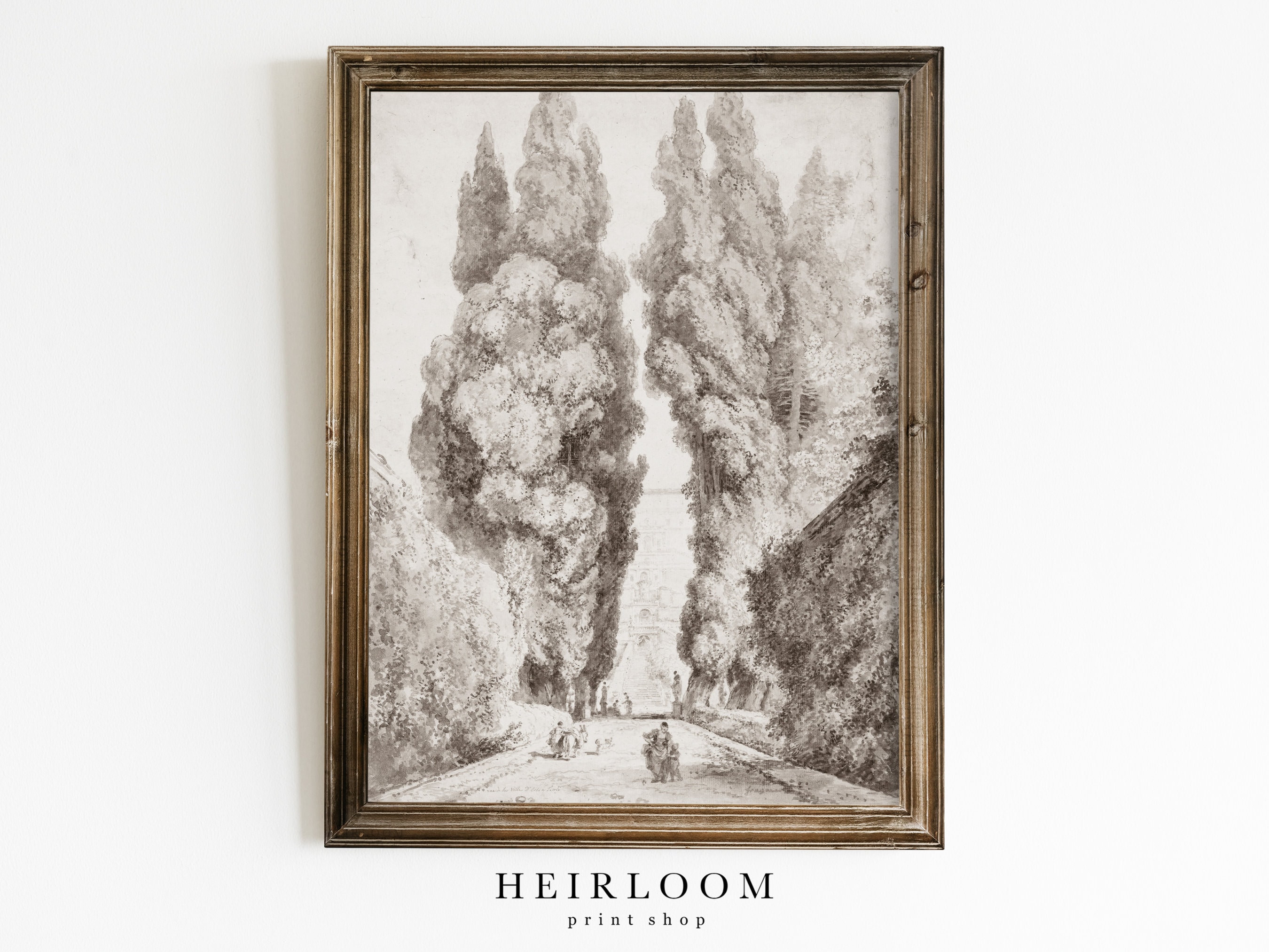 Antique Etching Tree Drawing Etchings Prints Vintage | Etsy