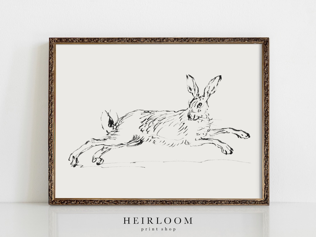Rabbit Drawing | Bunny Artwork | Vintage Drawing | Spring ART PRINTS ...