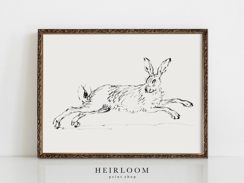 Rabbit Drawing Bunny Artwork Vintage Drawing Spring ART - Etsy