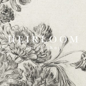 Vintage Flower Drawing | Floral Sketch | FINE ART PRINTS | Antique ...