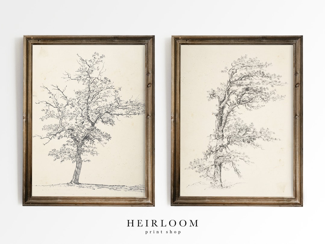 Tree Drawing Set | Vintage Sketch ART PRINTS | Pencil Sketch | Tree ...
