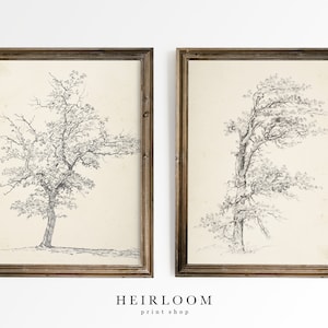 Tree Drawing Set Vintage Sketch ART PRINTS Pencil Sketch Tree Sketch ...