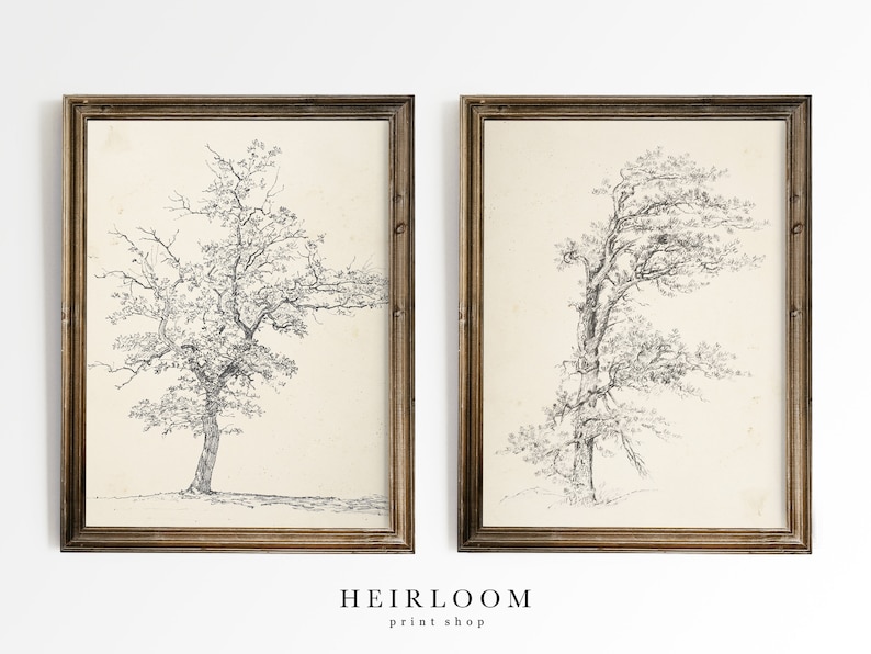 Tree Drawing Set Vintage Sketch ART PRINTS Pencil Sketch - Etsy