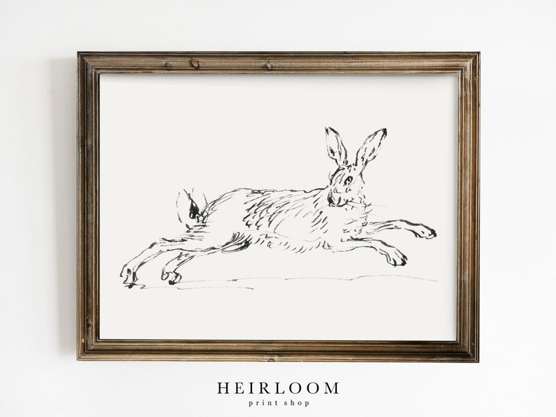 Rabbit Drawing Bunny Artwork Vintage Drawing Spring ART - Etsy