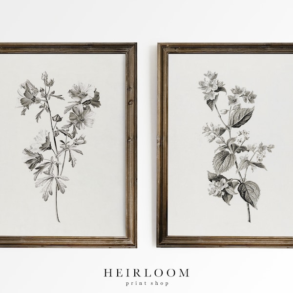 Botanical Print Set - Etsy