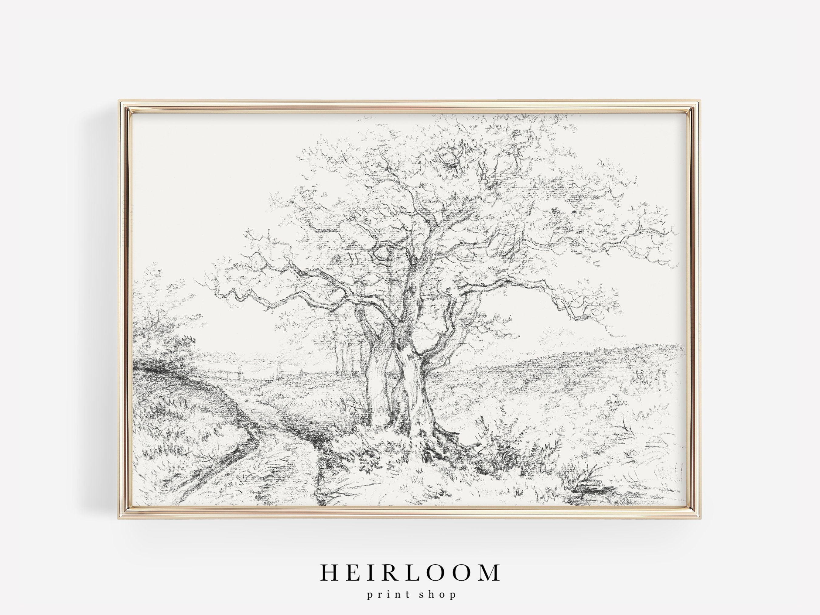 Tree Drawing Vintage Drawing Tree Print Digital Art | Etsy