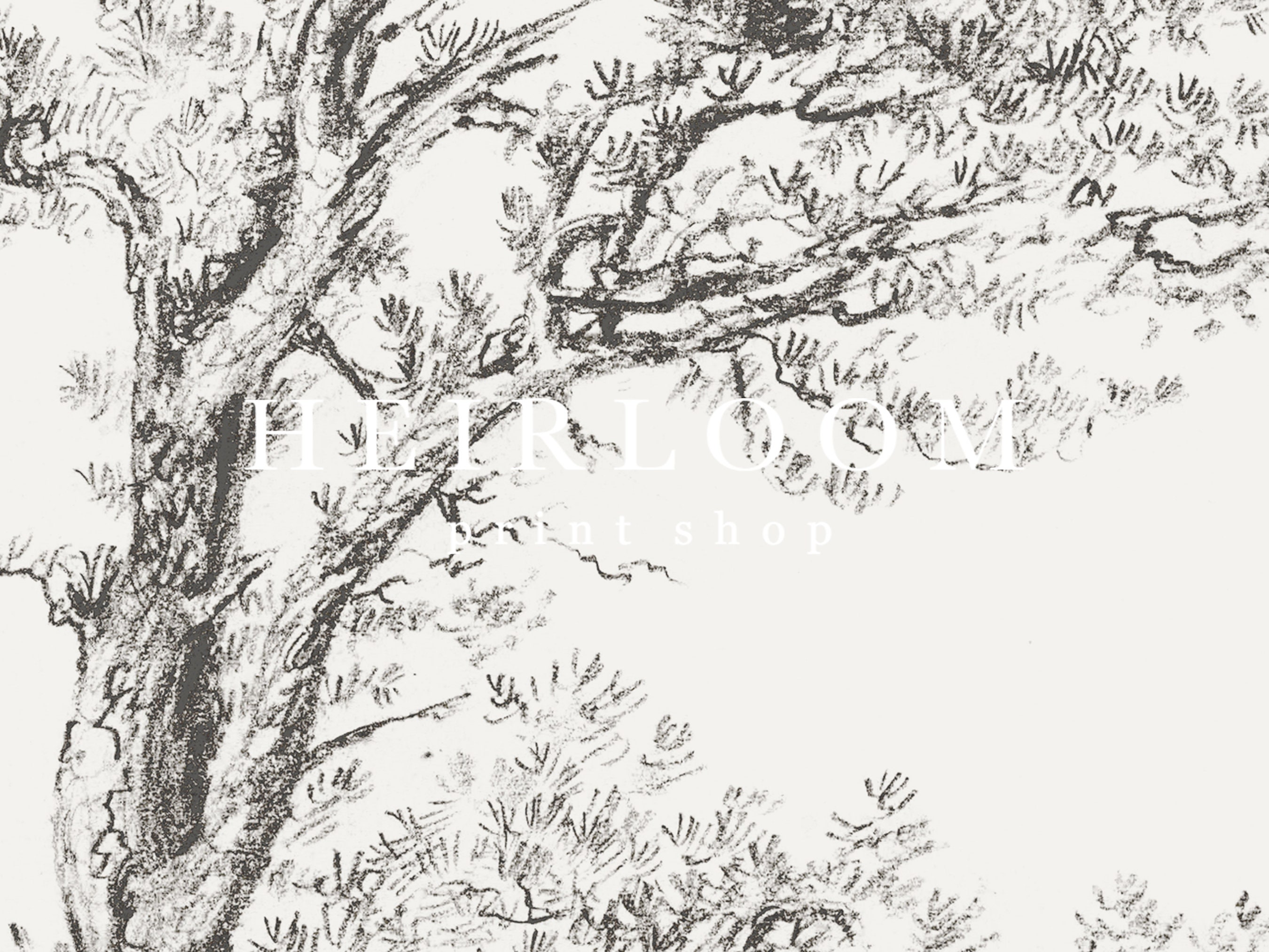 Pencil Sketch Tree Drawing Vintage ART PRINTS Tree | Etsy