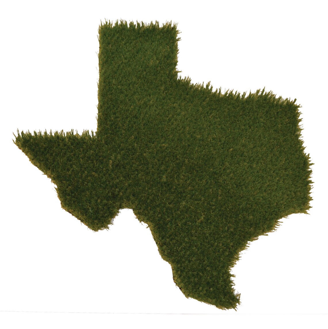 Louisiana Synthetic Grass Doormat Rug Wall Decor - Etsy