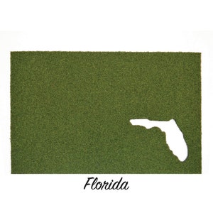 Florida Synthetic Grass Doormat | Rug | Wall Decor - Etsy