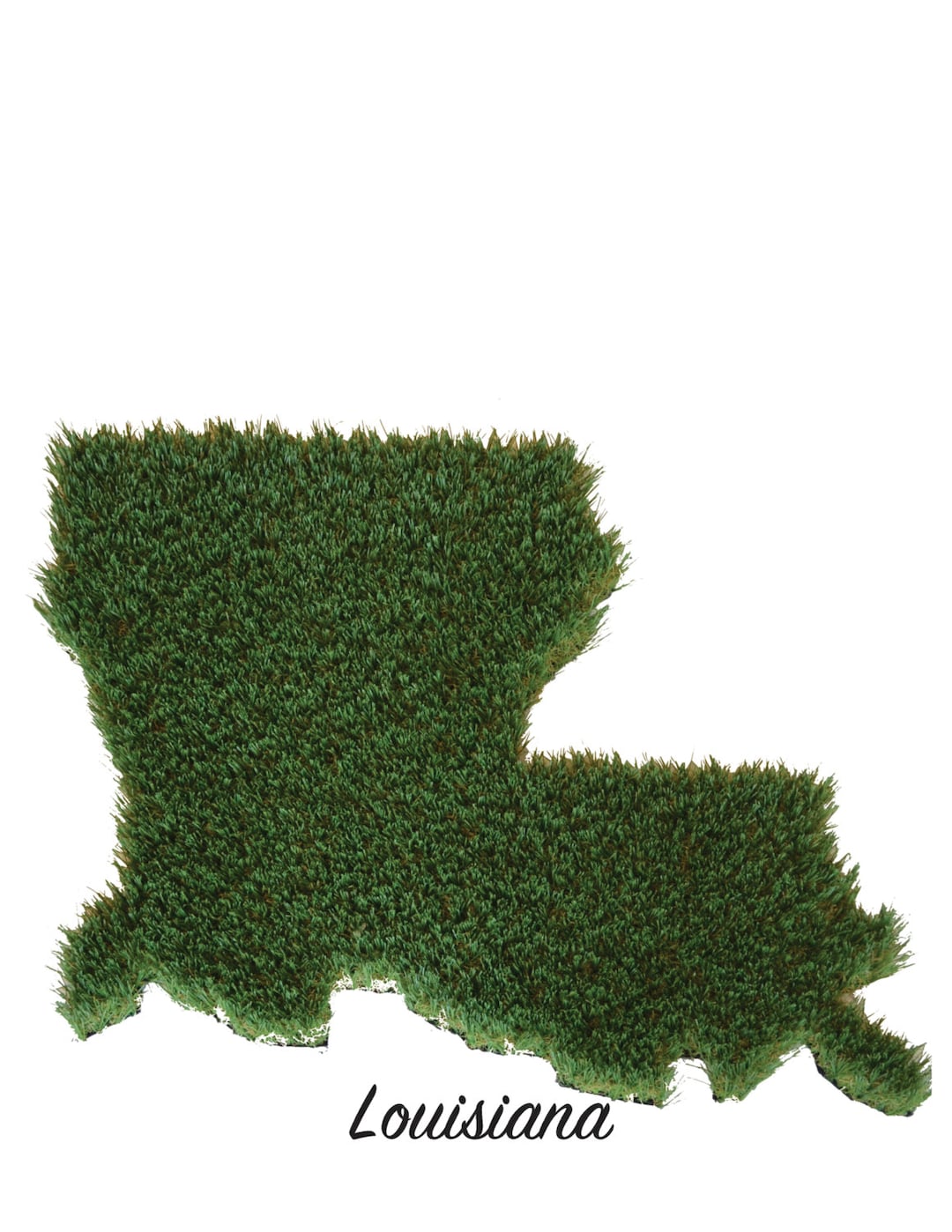 Louisiana Synthetic Grass Doormat | Rug | Wall Decor - Etsy
