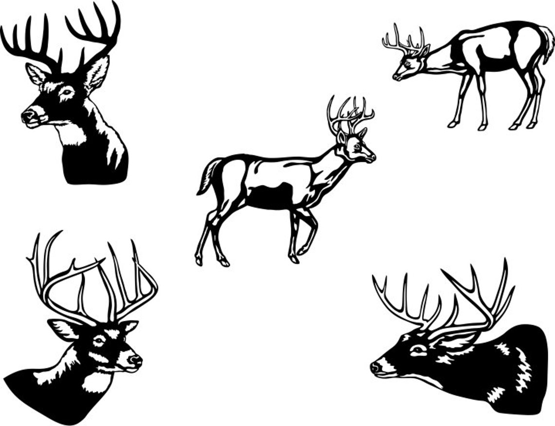 Deer Buck Clipart Silhouettes, Eps Dxf Pdf Png Svg Files - Plasma - CNC ...