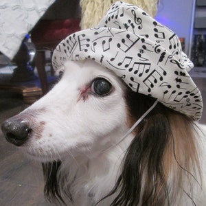 Cats Musical Wig - Etsy