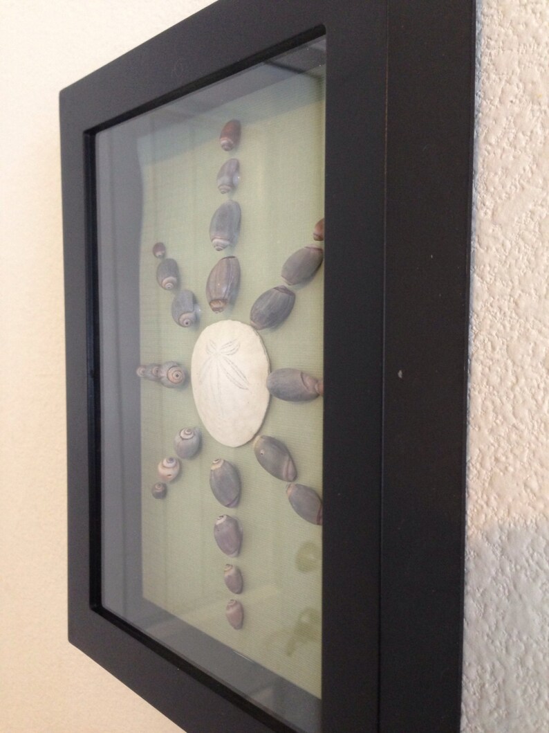 Sea Shell Art, Beach Home Decor, Sand Dollar, Shadow Box, Beach Decor ...
