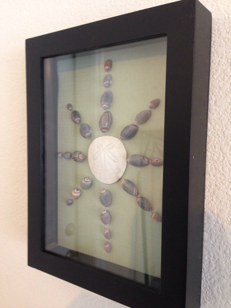 Sea Shell Art, Beach Home Decor, Sand Dollar, Shadow Box, Beach Decor ...