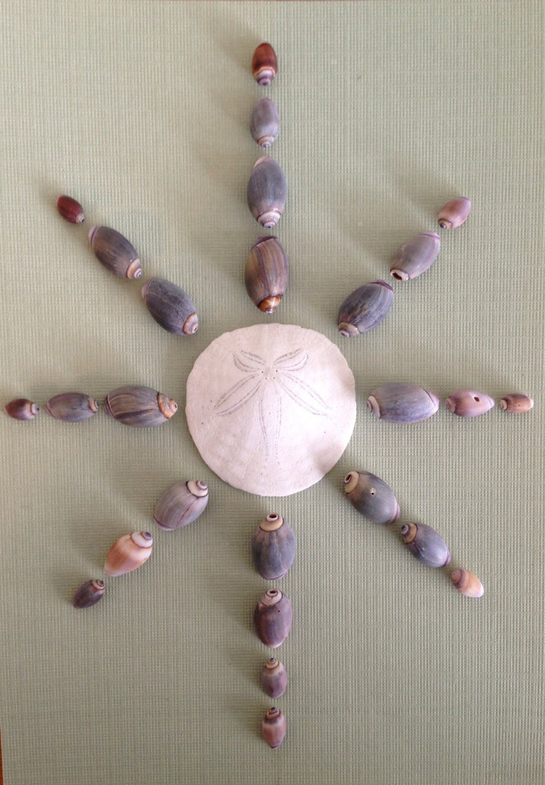 Sea Shell Art, Beach Home Decor, Sand Dollar, Shadow Box, Beach Decor ...