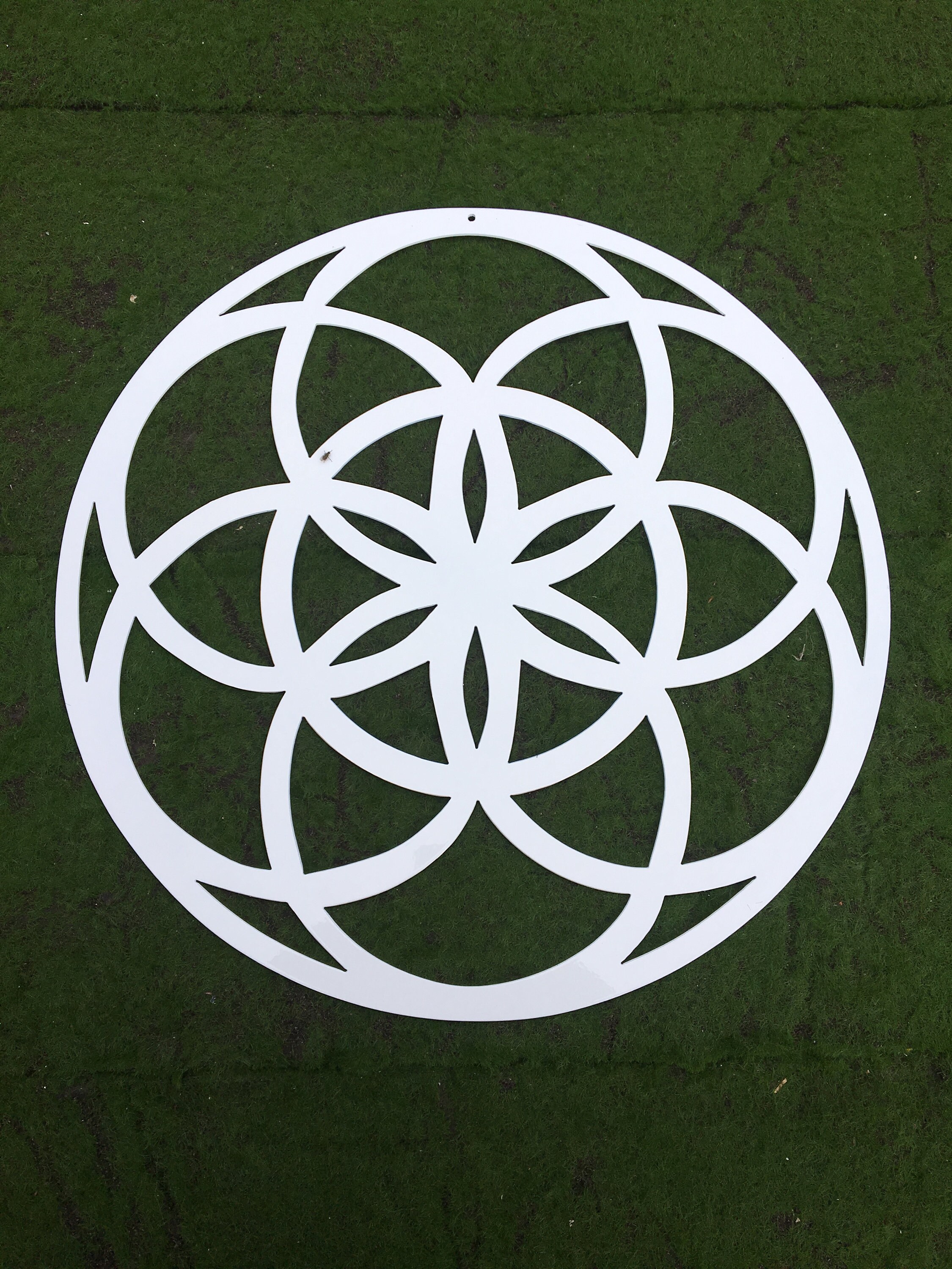 Sacred Geometry Fruit Of Life