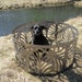Palm Tree Leaf Fire Ring, Fire Pit, Outdoor, Fire Place, Back Yard ...
