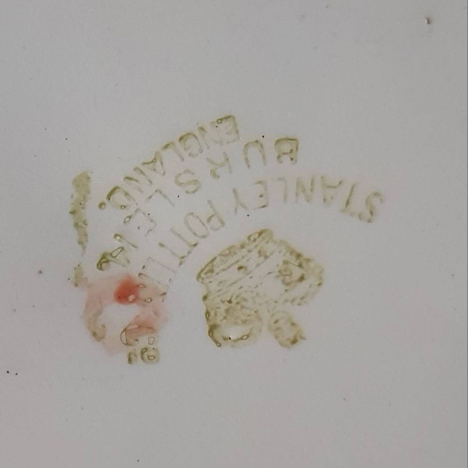 The Stanley Pottery Co Burslem Flow Blue Gilded Bowl - Etsy