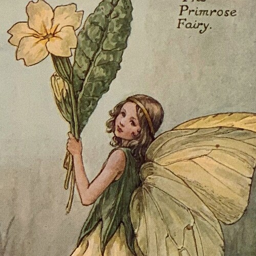 Flower Fairies Primrose Flower Fairy CICELY MARY BARKER | Etsy