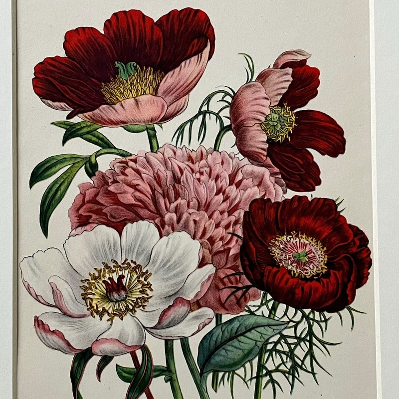 Lithographs - Etsy
