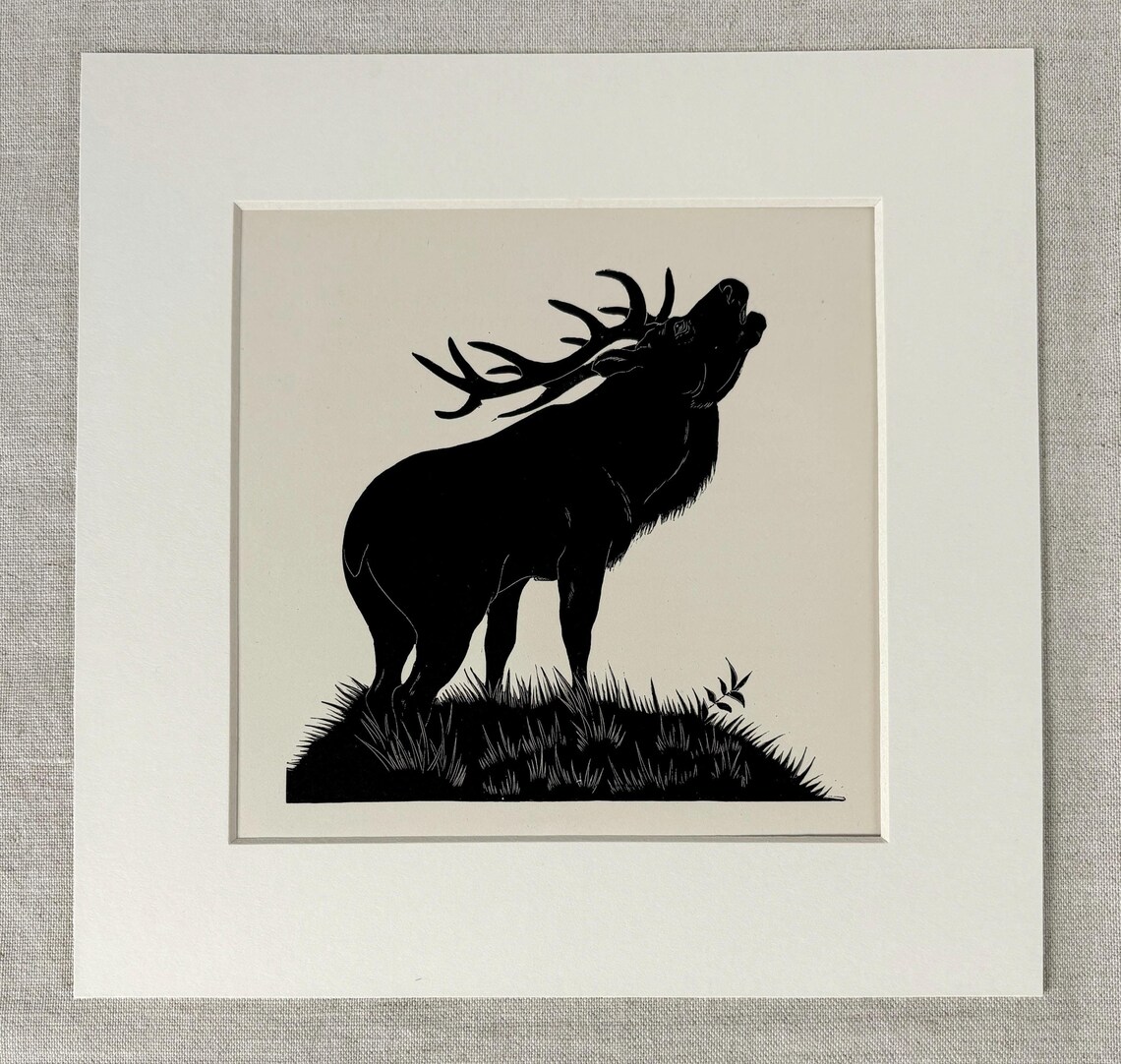 1928 Original Vintage Eric Fitch Daglish Animal Woodcut - Red Deer ...