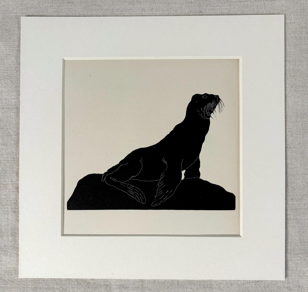 1928 Original Vintage Eric Fitch Daglish Animal Woodcut - Sea Lion ...