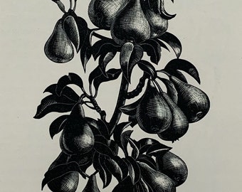 1935 Original Vintage Clare Leighton Wood Engraving - Etsy