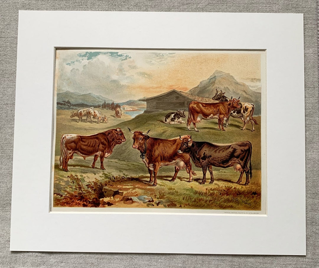 Circa 1880 Rare Original Antique Chromolithograph Print Continental ...