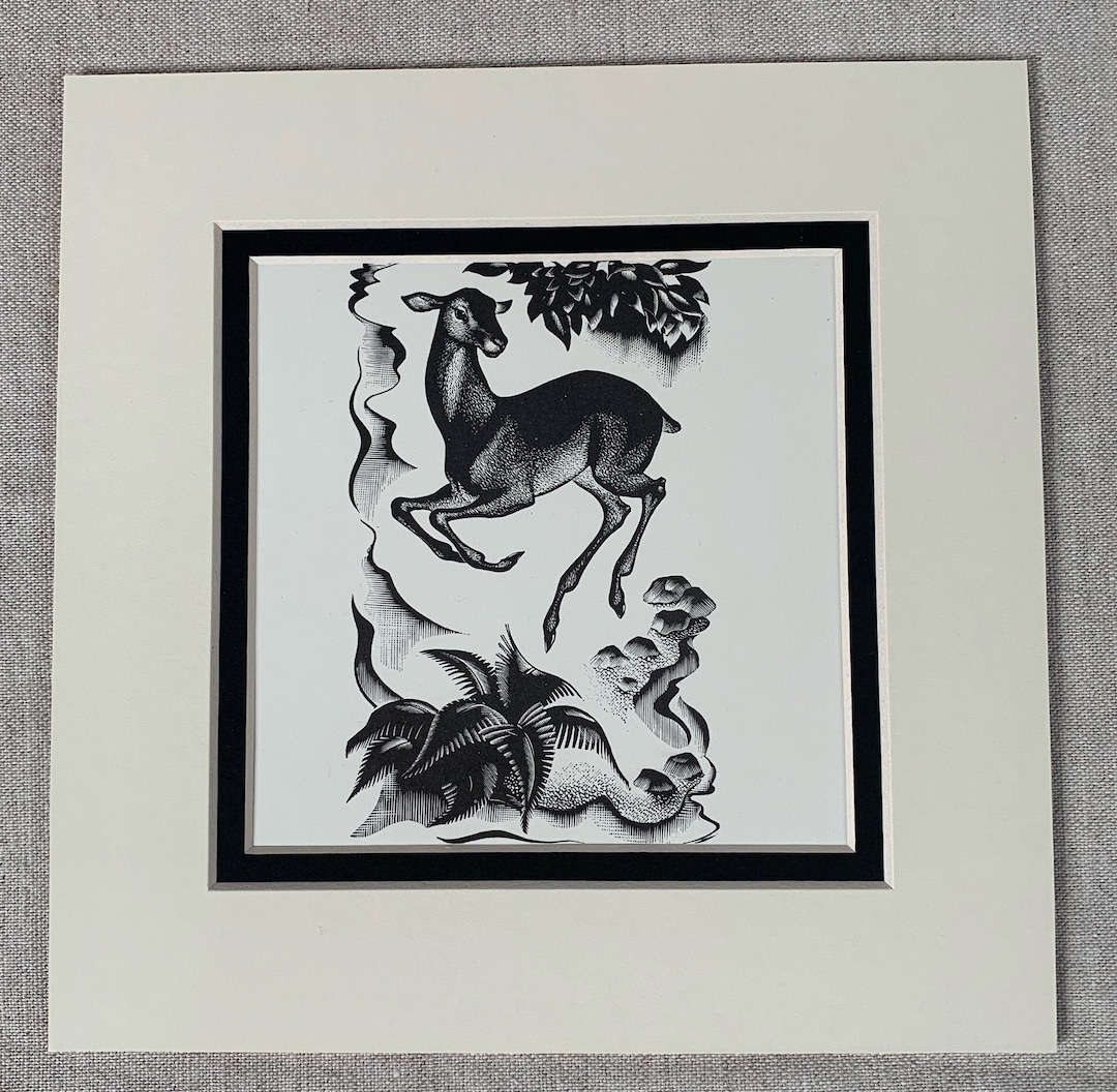 1936 Original Vintage Lithograph Wood Engraving Print of A Doe ...