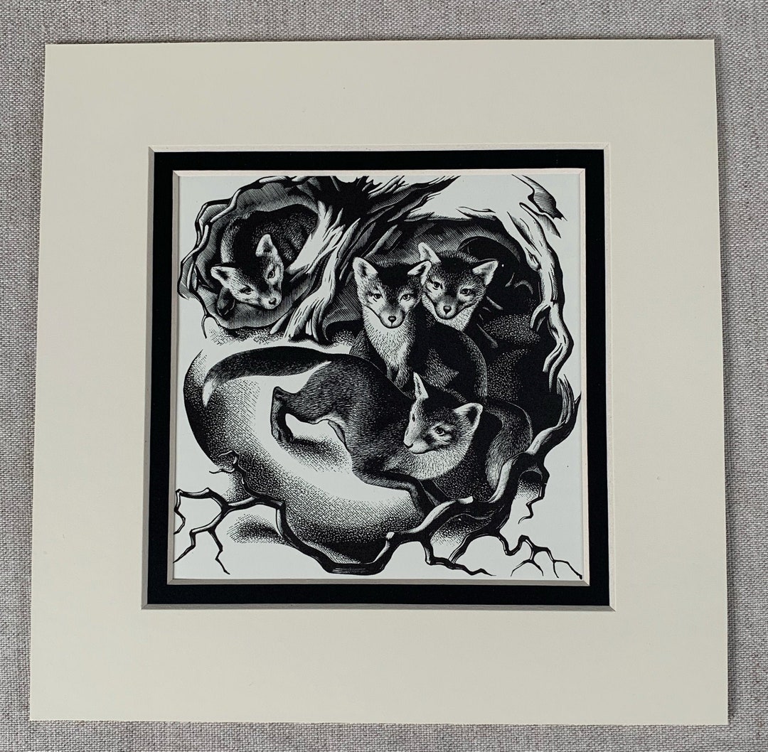 1936 Original Vintage Lithograph Wood Engraving Print of Fox Cubs ...