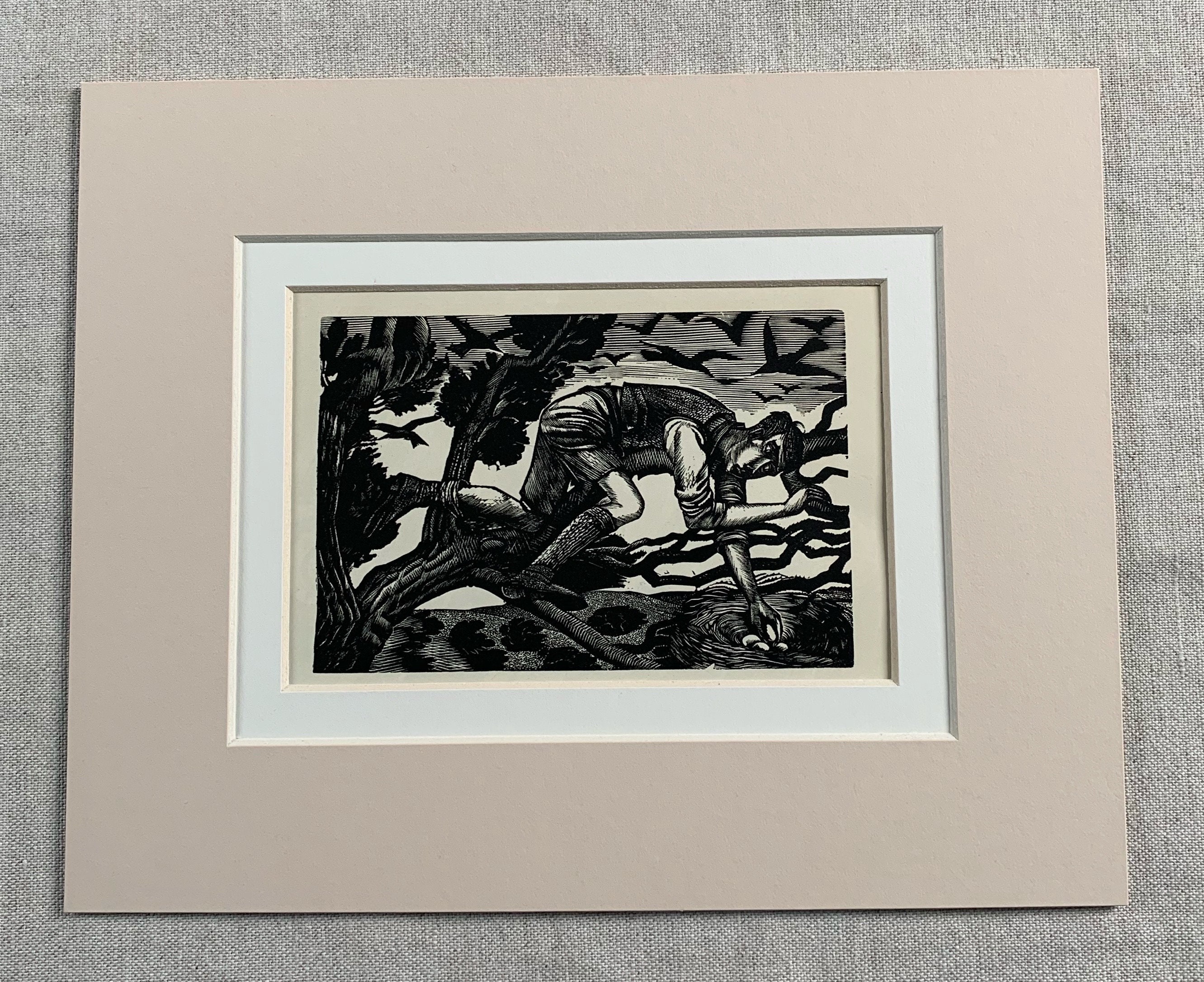1951 Original Vintage Wood Engraving Print, Bird Nesting, Eric ...