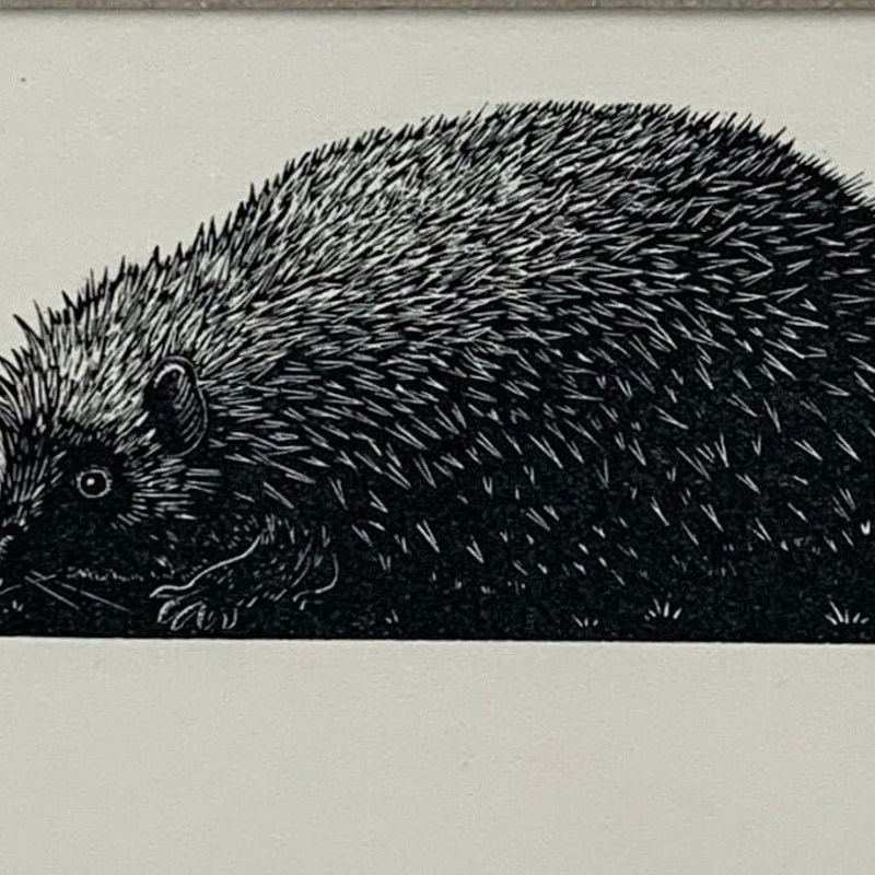 Clare Leighton Originals - Etsy