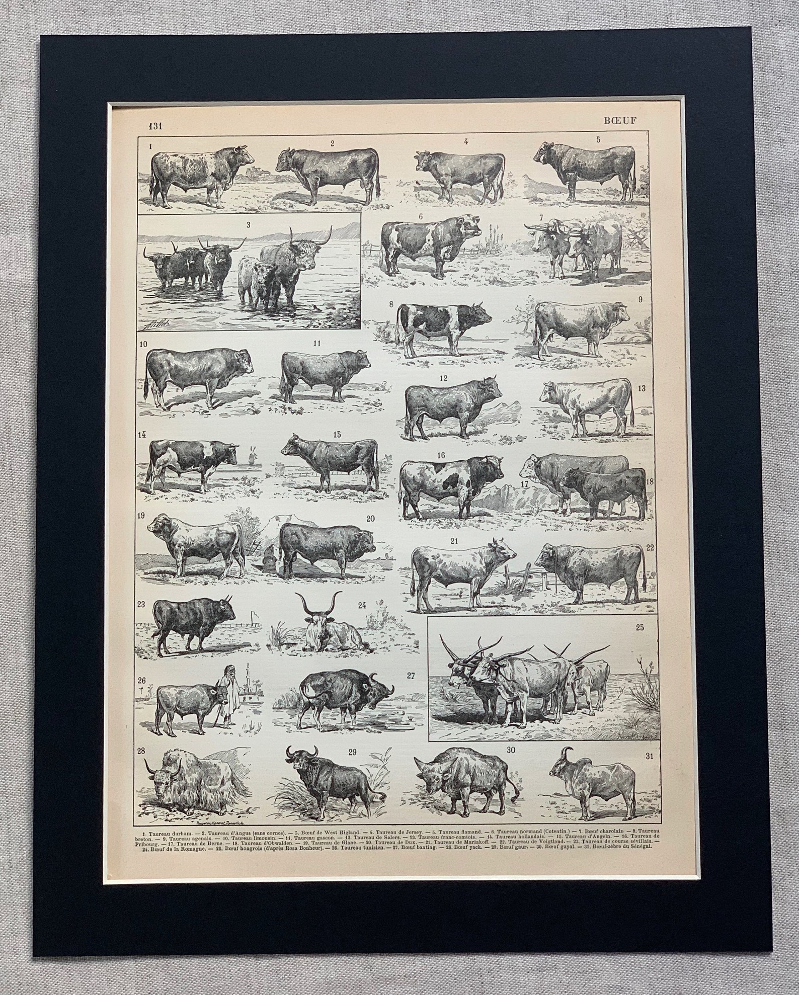 Original 1890's Antique Large French Lithograph Print of - Etsy