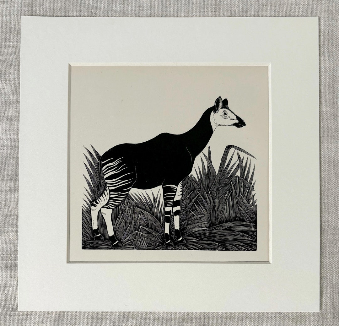 1928 Original Vintage Eric Fitch Daglish Animal Woodcut - Okapi ...