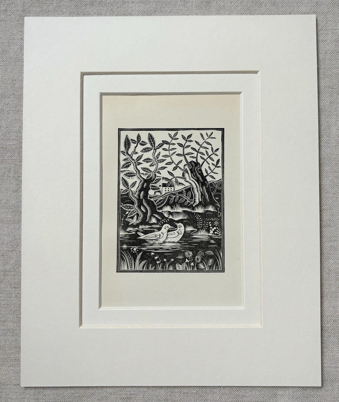 1925 Original Vintage Alan Bold Woodcut Illustration Print - Birds ...