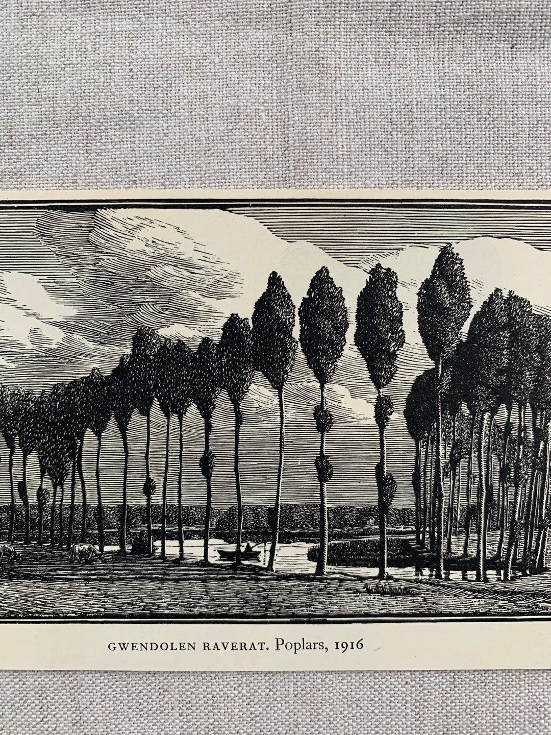 1951 Original Vintage Wood Engraving Print - Poplars, Gwendolen Raverat ...