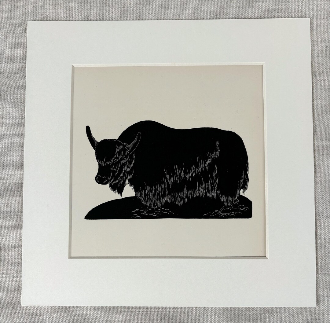 1928 Original Vintage Eric Fitch Daglish Animal Woodcut - Yak ...