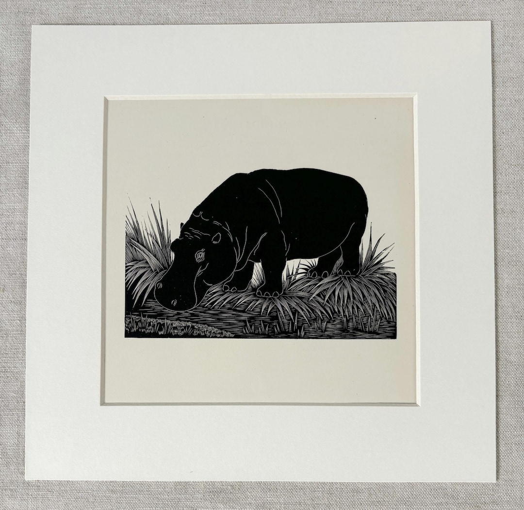 1928 Original Vintage Eric Fitch Daglish Animal Woodcut - Hippo ...