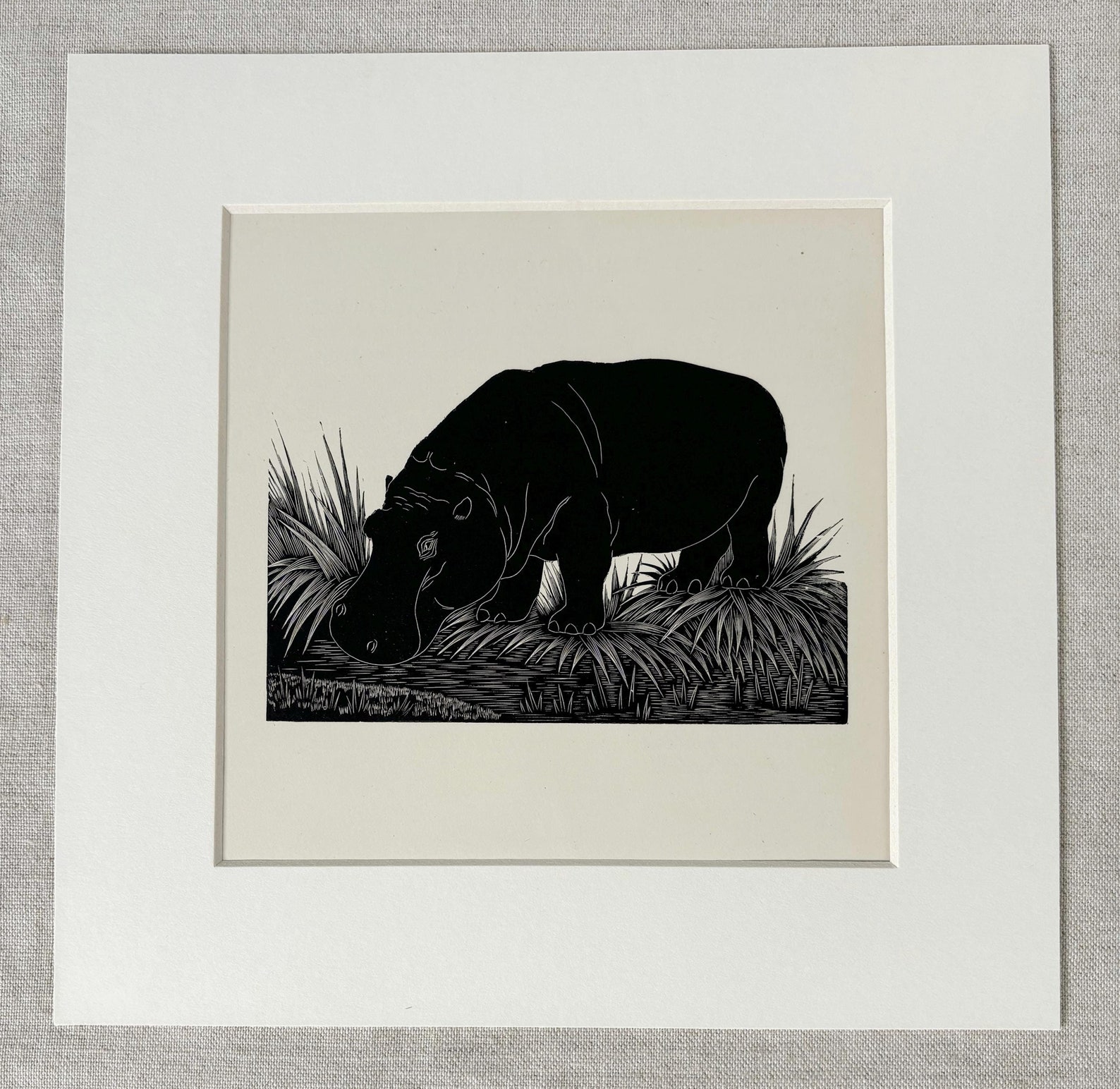 1928 Original Vintage Eric Fitch Daglish Animal Woodcut - Hippo ...