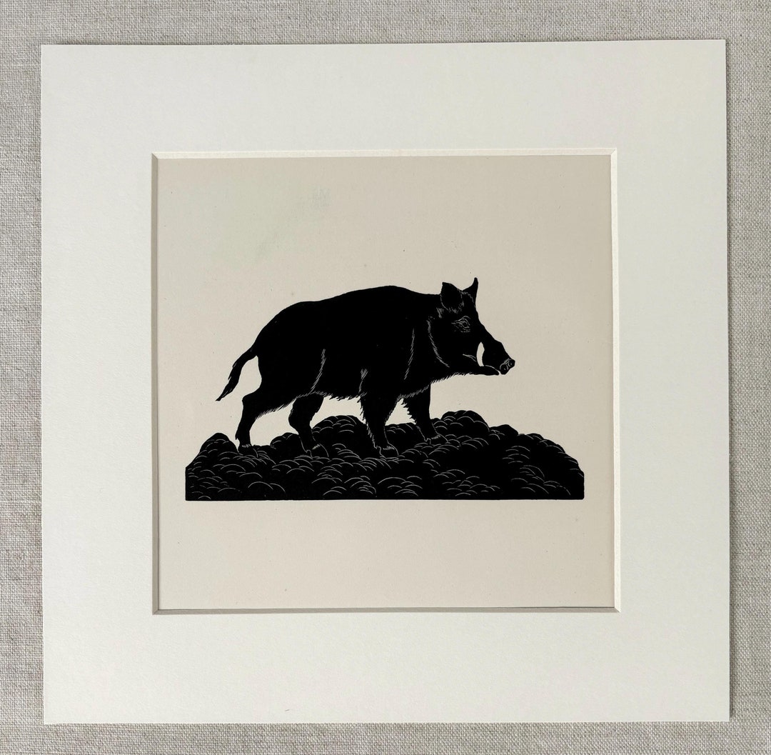 1928 Original Vintage Eric Fitch Daglish Animal Woodcut - Wild Boar ...