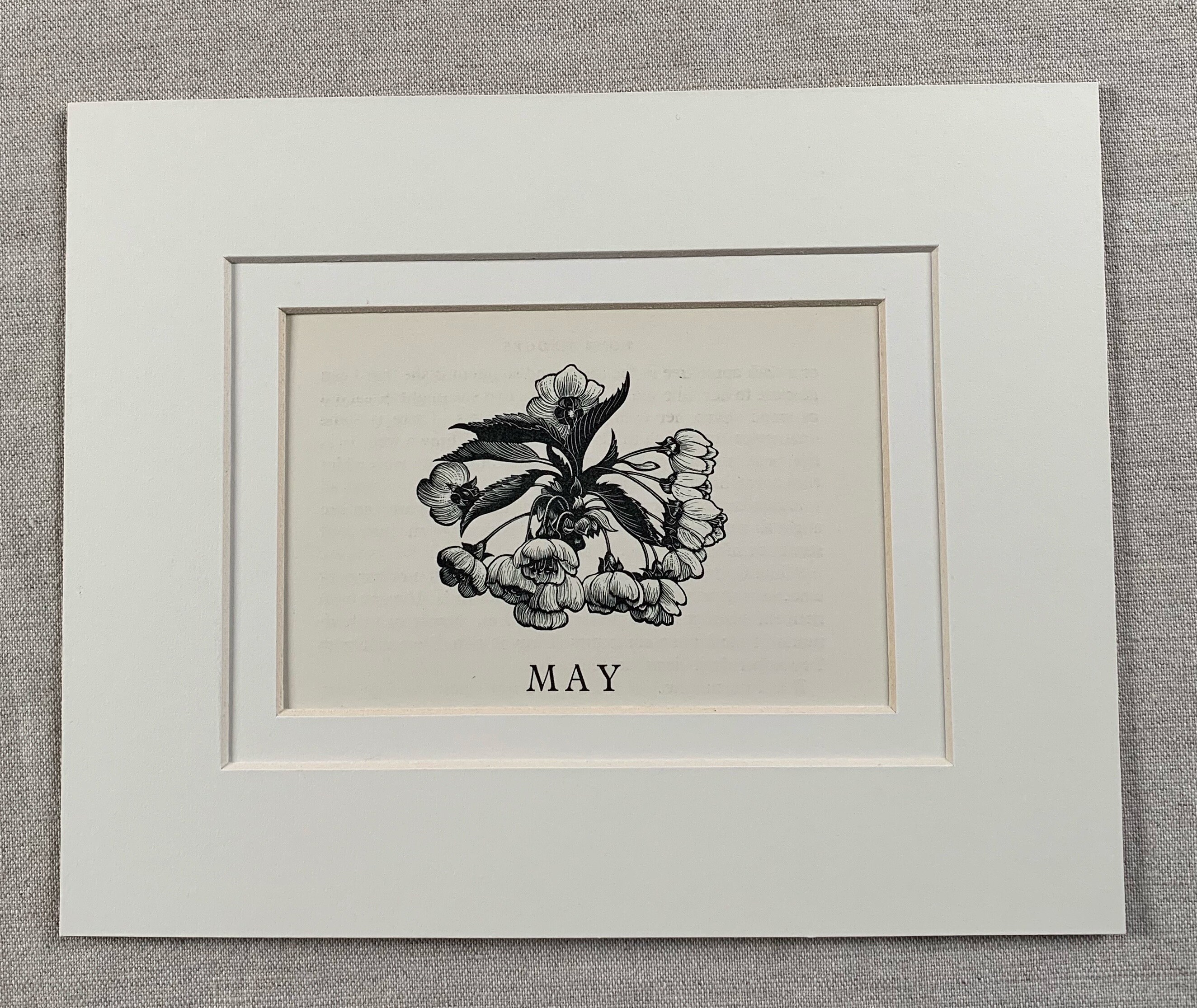 1935 Original Vintage Clare Leighton Wood Engraving 'may Cherry Blossom ...