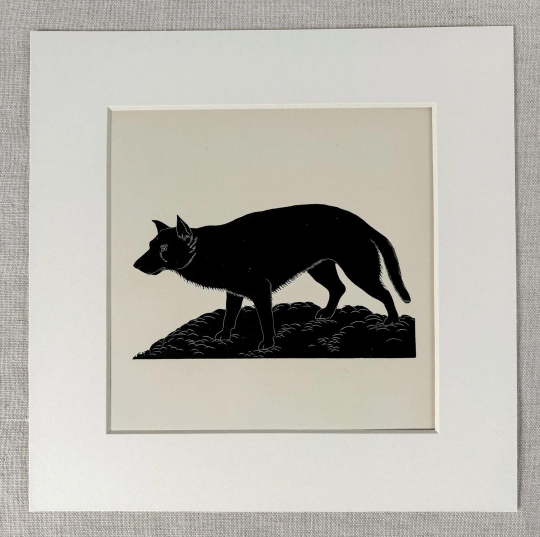 1928 Original Vintage Eric Fitch Daglish Animal Woodcut - Wolf ...