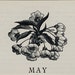 1935 Original Vintage Clare Leighton Wood Engraving 'may Cherry Blossom ...