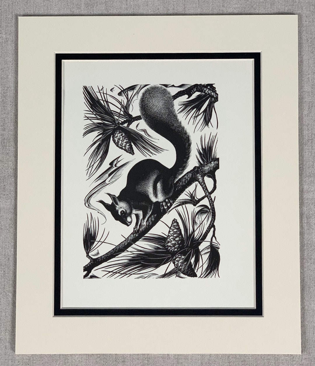 1936 Original Vintage Lithograph Wood Engraving Print of A Squirrel ...