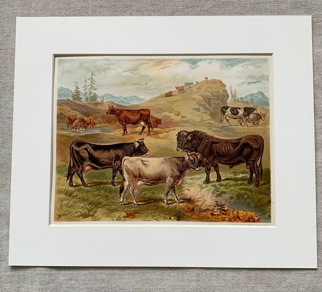 Circa 1880 Rare Original Antique Chromolithograph Print Continental ...