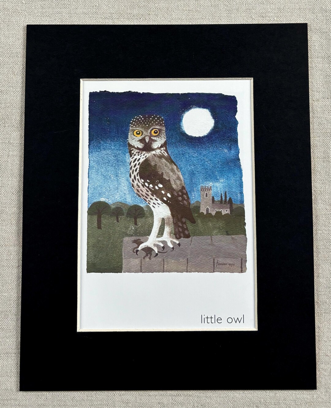 Vintage Mary Fedden Bird Print - Little Owl - Mounted & Matted Black or ...