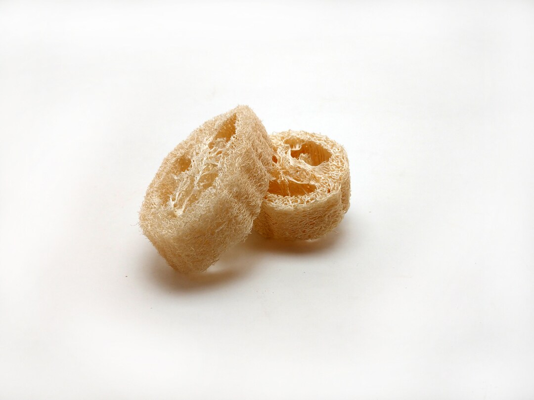 Natural Luffa Slice (loofah) - Etsy