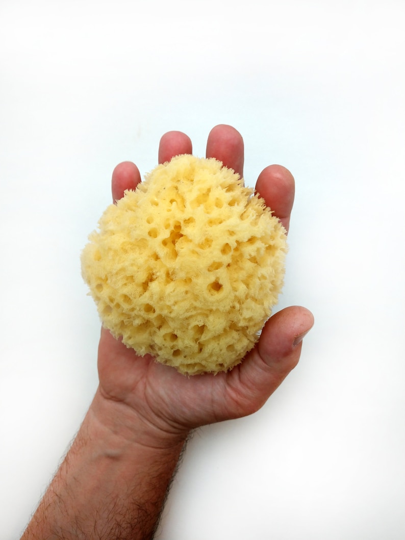 All Natural Sea Sponge (4-5inch) - Etsy