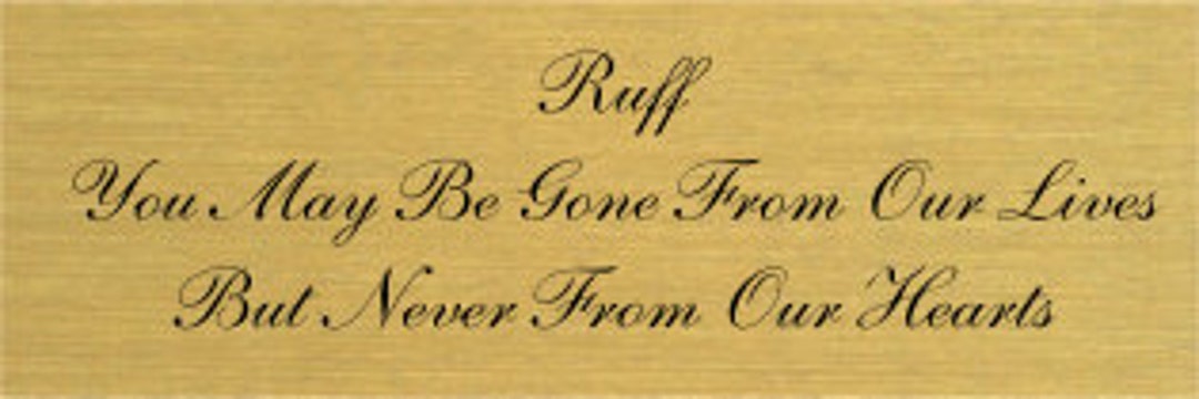 Engraved Brushed Brass Plate: 3-line Text (1" X 3") - Etsy