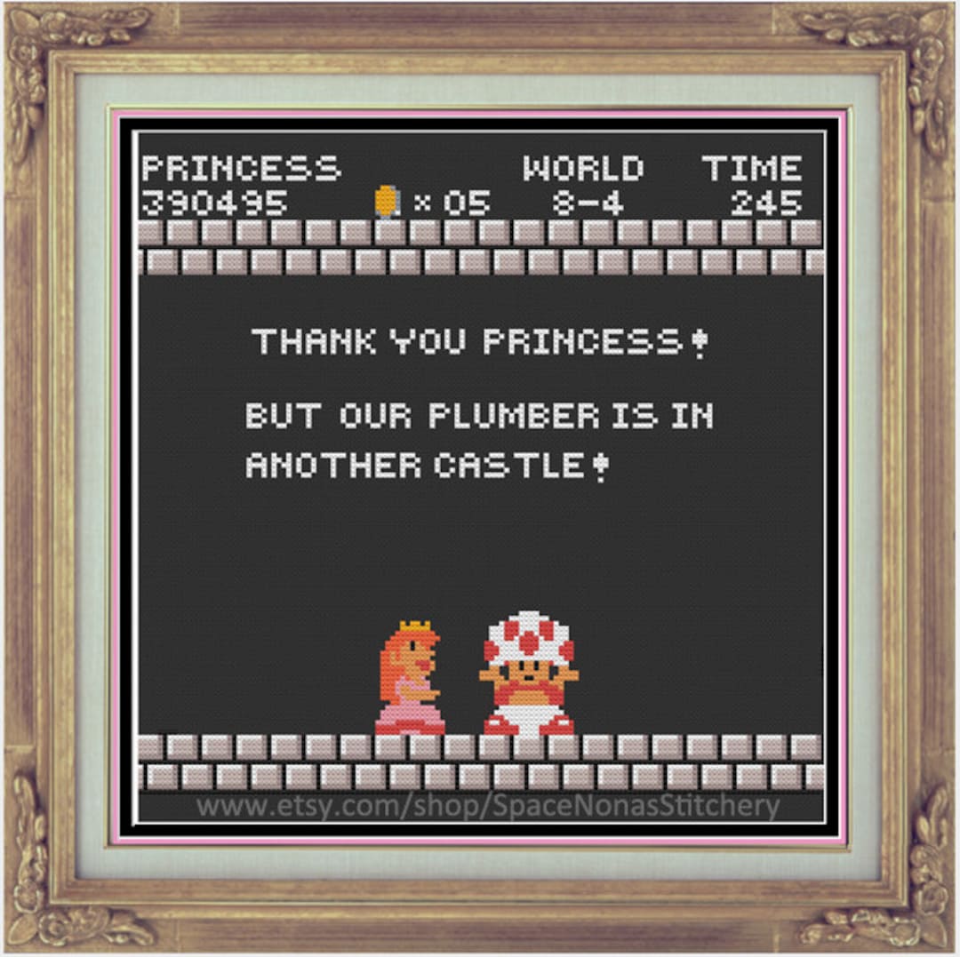 Thank You, Princess but Our Plumber is in Another Castle. - Etsy